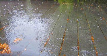 Rain Fall Pictures, Photos, and Images for Facebook, Tumblr, Pinterest ...