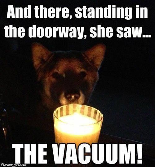 The Vacuum! Pictures, Photos, and Images for Facebook, Tumblr ...