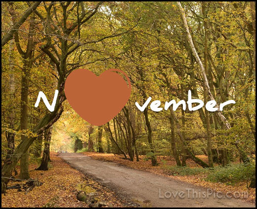 November Pictures, Photos, and Images for Facebook, Tumblr, Pinterest ...