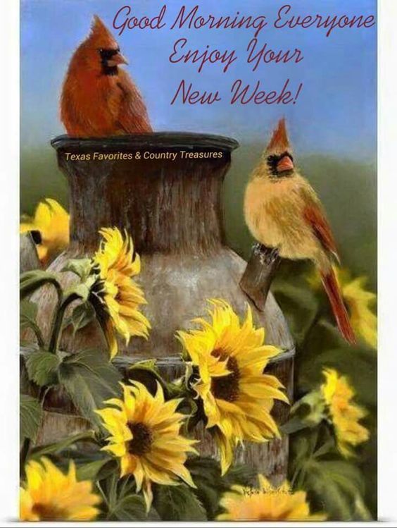 Good Morning Everyone, Enjoy Your New Week Pictures, Photos, and Images ...