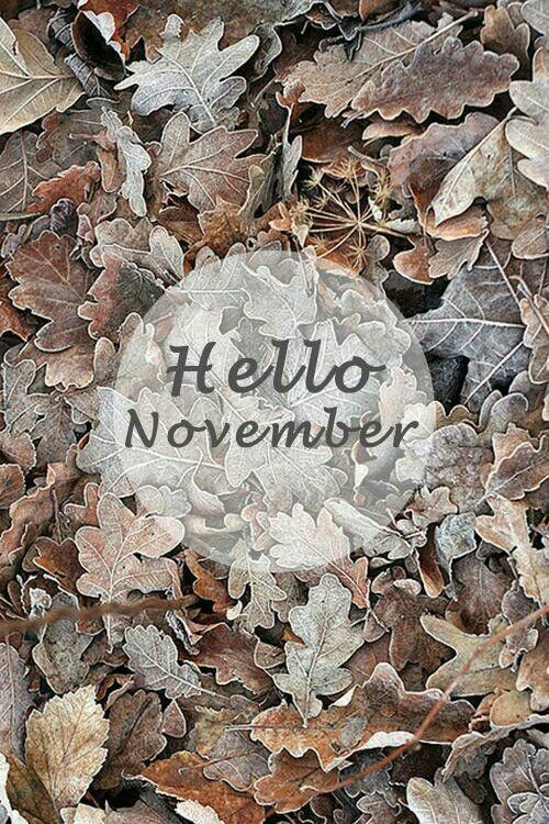 Hello November Pictures, Photos, and Images for Facebook, Tumblr ...