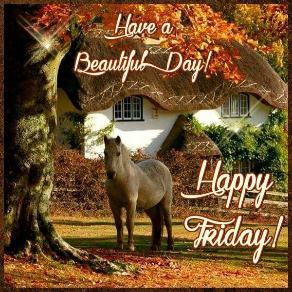 Have A Beautiful Day! Happy Friday! Pictures, Photos, and Images for ...