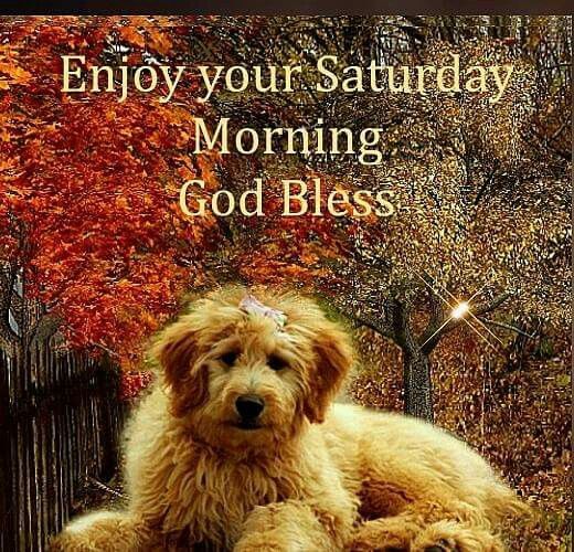 Enjoy Your Saturday Morning, God Bless Pictures, Photos, and Images for ...