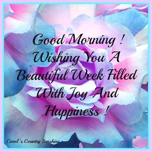 Good Morning! Wishing You A Beautiful Week Filled With Joy And ...