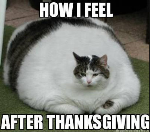 How I Feel After Thanksgiving Pictures, Photos, and Images for Facebook ...
