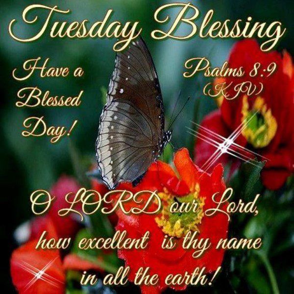 Tuesday Blessing Pictures, Photos, and Images for Facebook, Tumblr ...