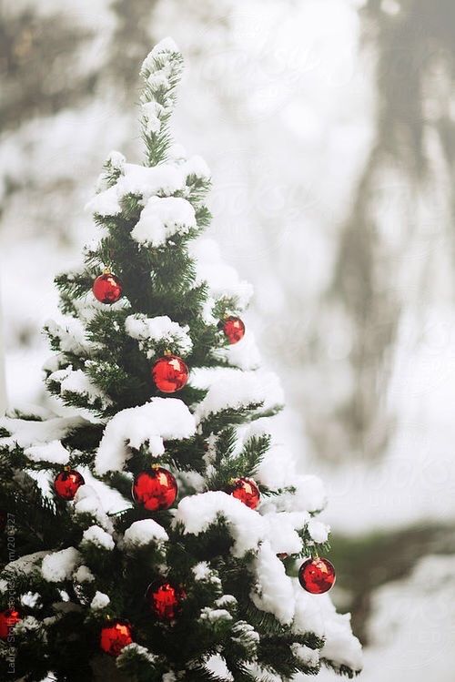 Snow Christmas Tree With Ornaments Pictures, Photos, and Images for ...