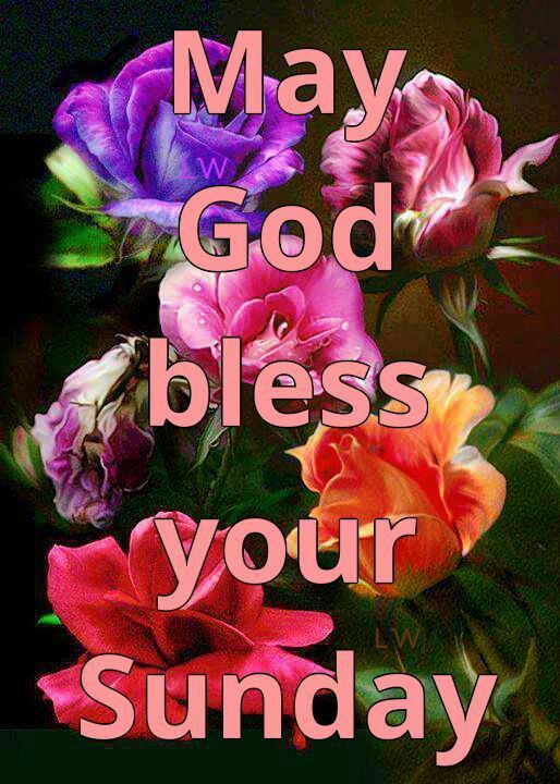 May God Bless Your Sunday Pictures, Photos, and Images for Facebook ...