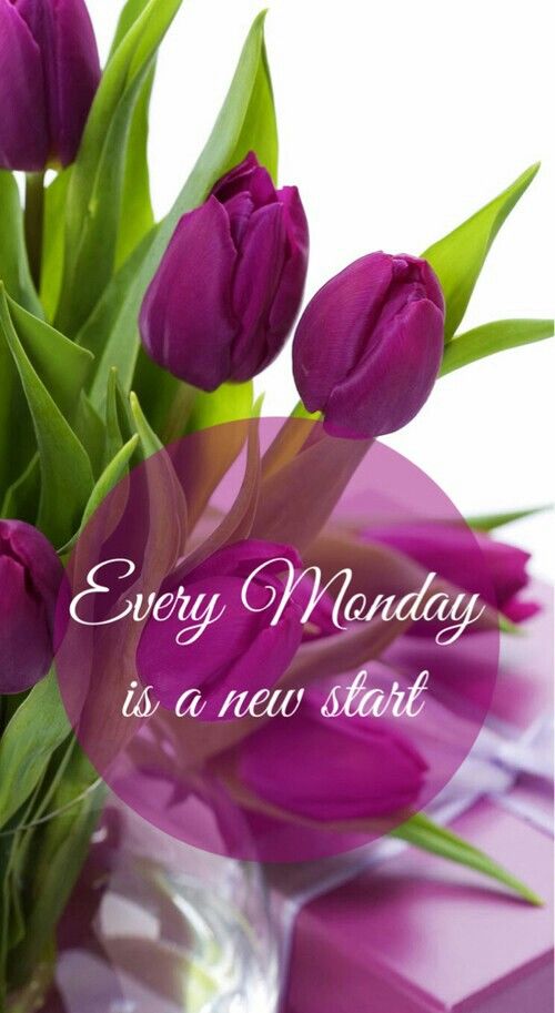 Every Monday Is A New Start Pictures, Photos, and Images for Facebook ...