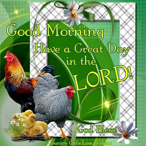 Good Morning, Have A Great Day In The Lord Pictures, Photos, and Images ...