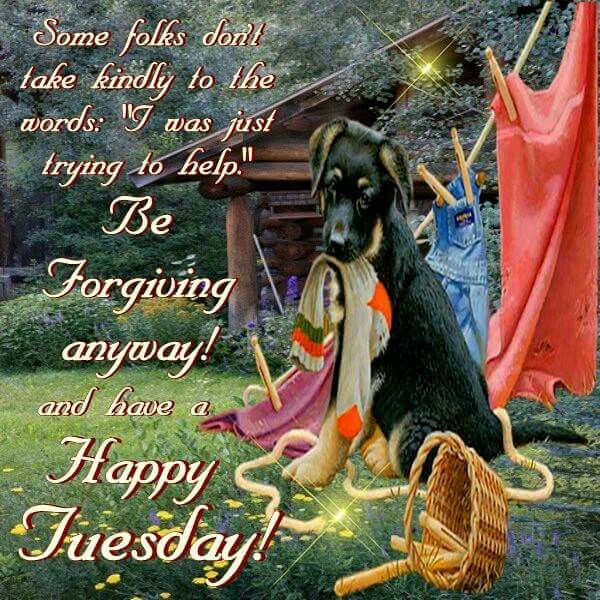 Have A Happy Tuesday! Pictures, Photos, and Images for Facebook, Tumblr ...