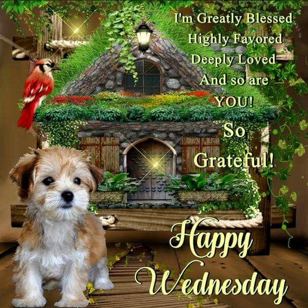 Happy Wednesday Pictures, Photos, and Images for Facebook, Tumblr ...