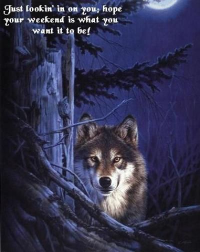 Just Lookin In On You, Hope Your Weekend Is What You Want It To Be ...