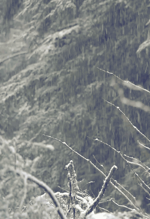 Falling Snow Pictures, Photos, and Images for Facebook, Tumblr ...
