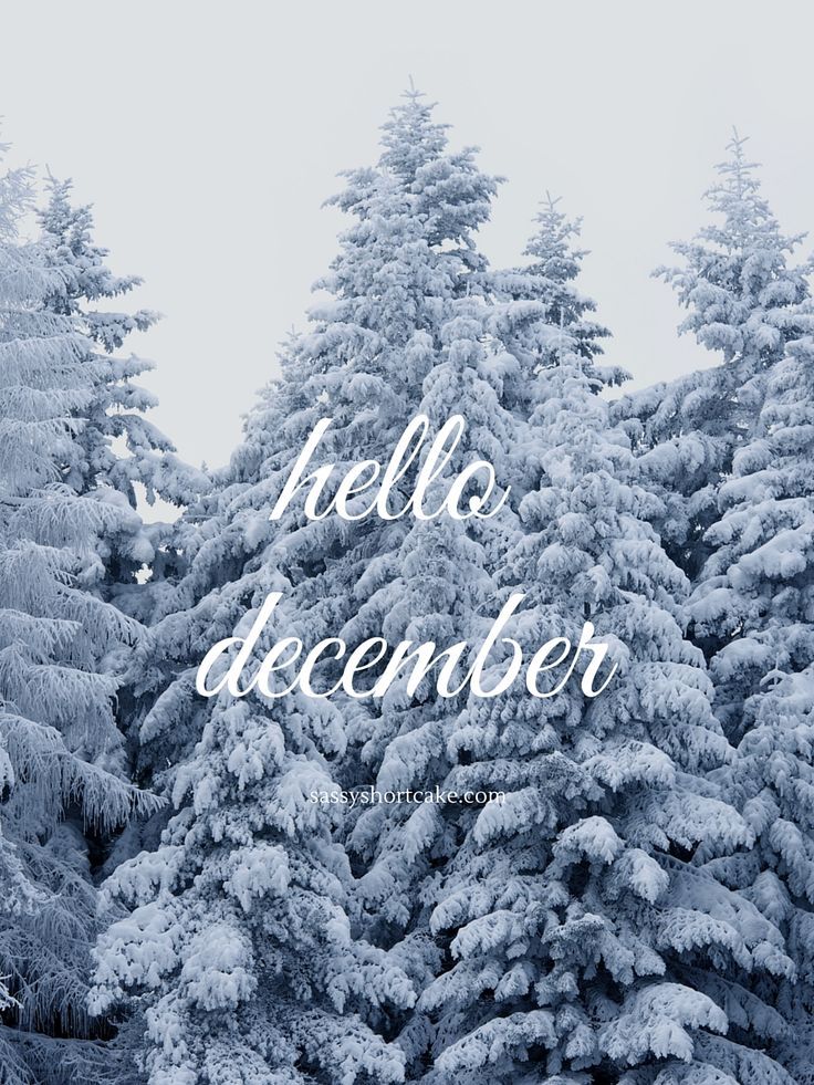 Hello December Pictures, Photos, and Images for Facebook, Tumblr ...