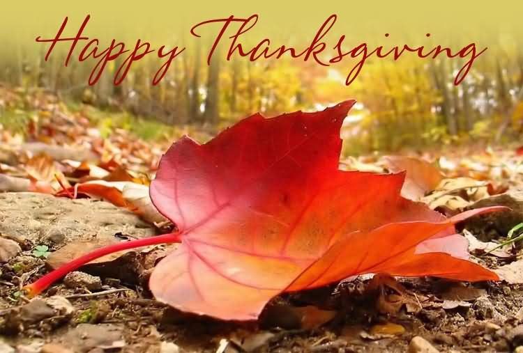 Happy Thanksgiving Pictures, Photos, and Images for Facebook, Tumblr ...