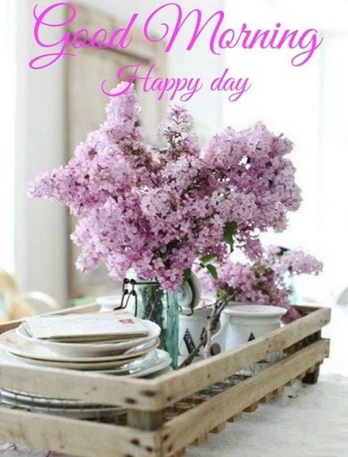Good Morning, Happy Day Pictures, Photos, and Images for Facebook ...
