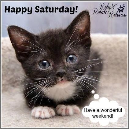 Happy Saturday, Have A Wonderful Weekend Pictures, Photos, and Images ...