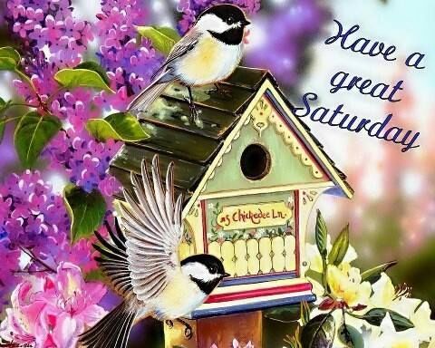 Have A Great Saturday Pictures, Photos, and Images for Facebook, Tumblr ...