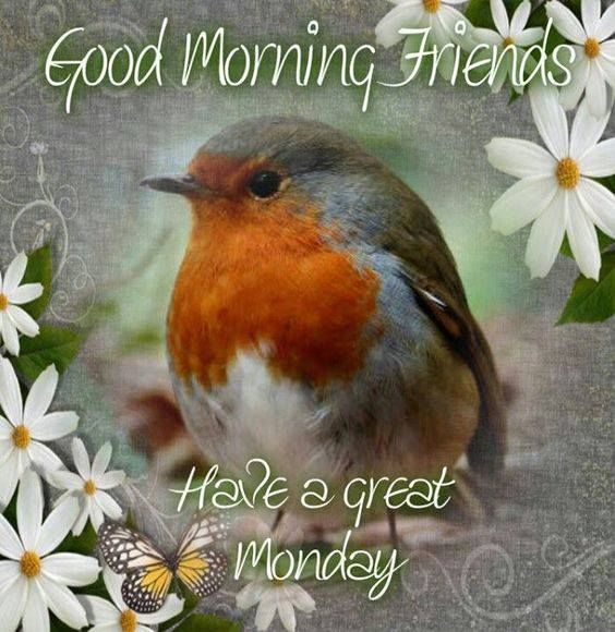 Good Morning Friends, Have A Great Monday Pictures, Photos, and Images ...