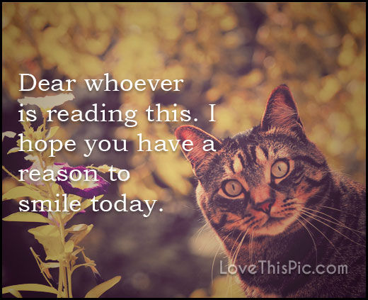 Dear Whoever Pictures, Photos, and Images for Facebook, Tumblr ...