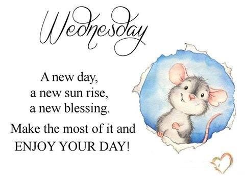 Wednesday, Enjoy Your Day! Pictures, Photos, and Images for Facebook ...
