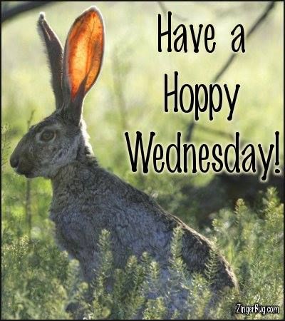 Have A Hoppy Wednesday! Pictures, Photos, and Images for Facebook ...