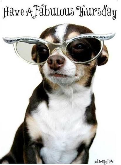 Have A Fabulous Thursday Pictures, Photos, and Images for Facebook ...