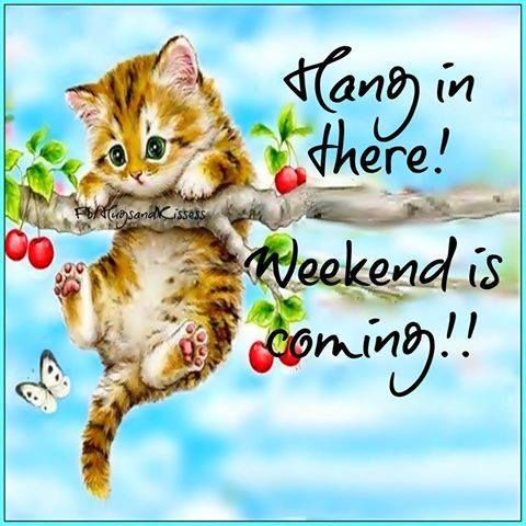 Hang In There! Weekend Is Coming Pictures, Photos, and Images for ...