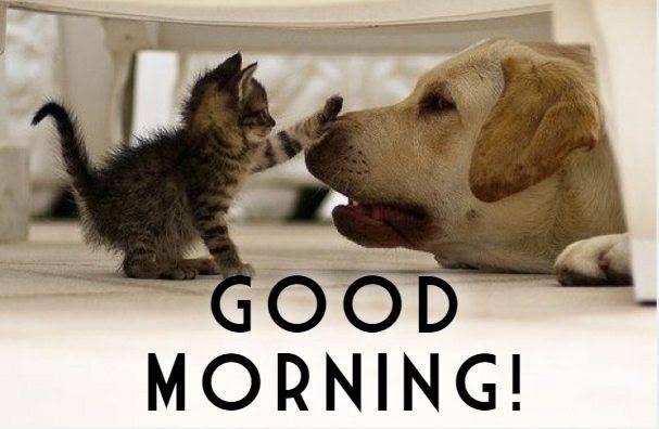 Good Morning Pictures, Photos, and Images for Facebook, Tumblr ...