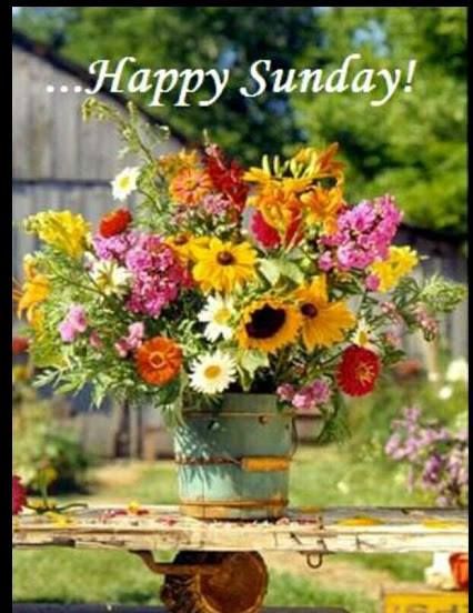Happy Sunday Pictures, Photos, and Images for Facebook, Tumblr ...