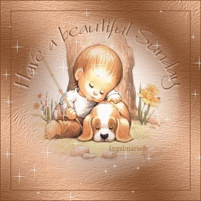Have A Beautiful Sunday Pictures, Photos, and Images for Facebook ...
