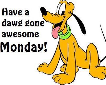 Have A Dawg Gone Awesome Monday! Pictures, Photos, and Images for ...