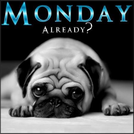 Monday Already? Pictures, Photos, and Images for Facebook, Tumblr ...