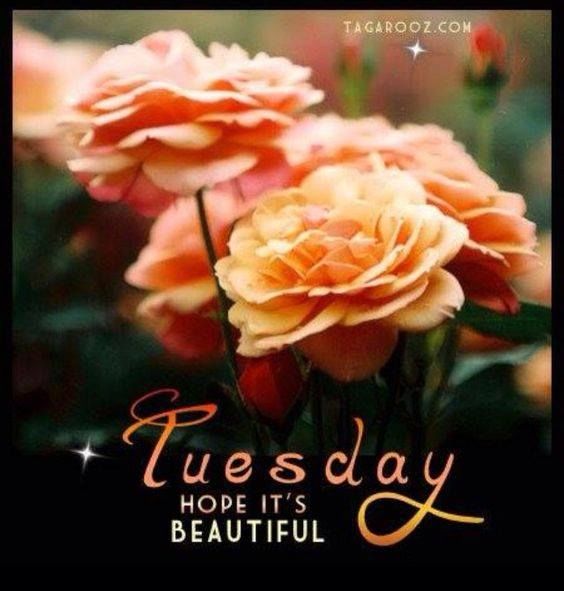 Tuesday Hope It's Beautiful Pictures, Photos, and Images for Facebook ...