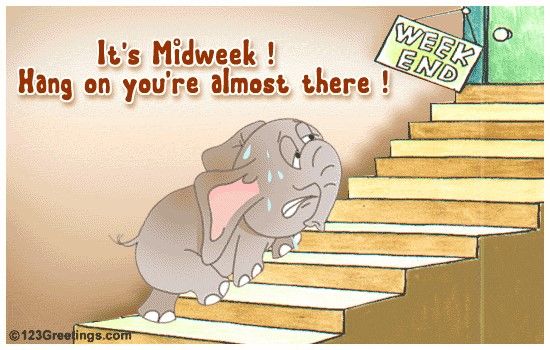 It's Midweek! Hang On You're Almost There! Pictures, Photos, and Images ...