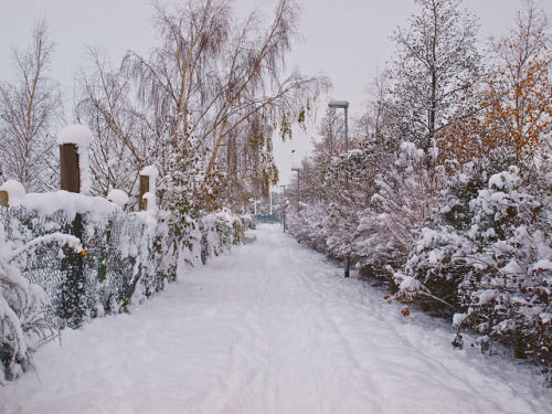 Snow Pathway Pictures, Photos, and Images for Facebook, Tumblr ...