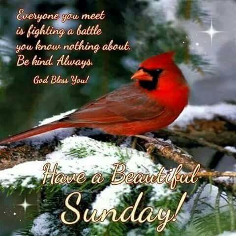 Have A Beautiful Sunday Pictures, Photos, and Images for Facebook ...