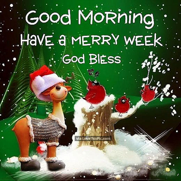Good Morning Have A Merry Week Pictures, Photos, and Images for ...