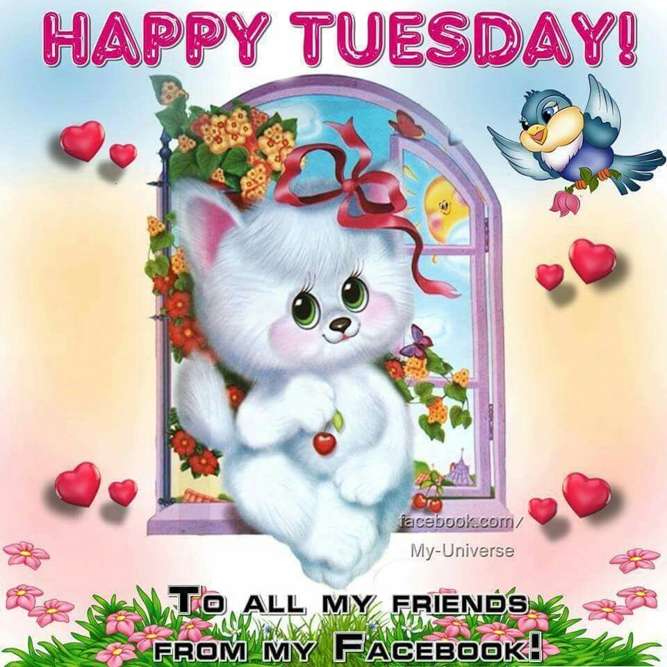 Happy Tuesday, To All My Friends From My Facebook! Pictures, Photos ...