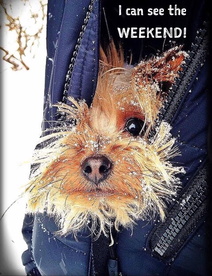 I Can See The Weekend Pictures, Photos, and Images for Facebook, Tumblr ...