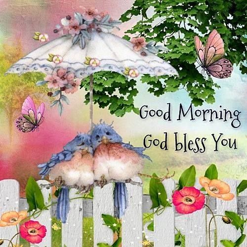 Good Morning, God Bless You Pictures, Photos, and Images for Facebook ...