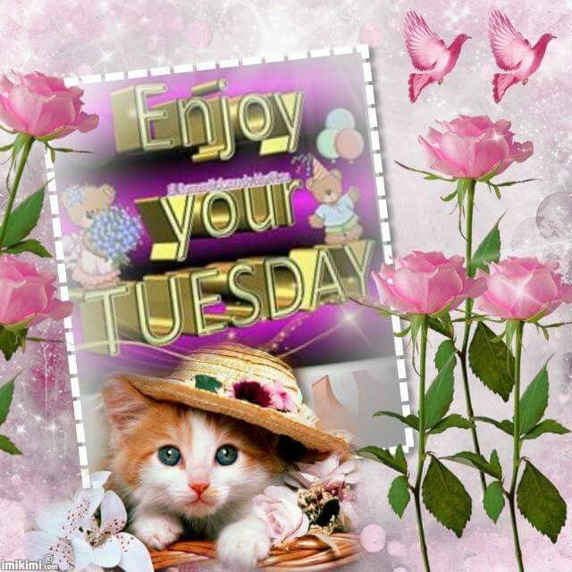 Enjoy Your Tuesday Pictures, Photos, and Images for Facebook, Tumblr ...