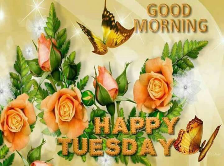 Good Morning, Happy Tuesday Pictures, Photos, and Images for Facebook ...