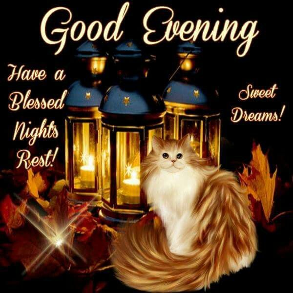 Good Evening, Have A Blessed Nights Rest! Pictures, Photos, and Images ...