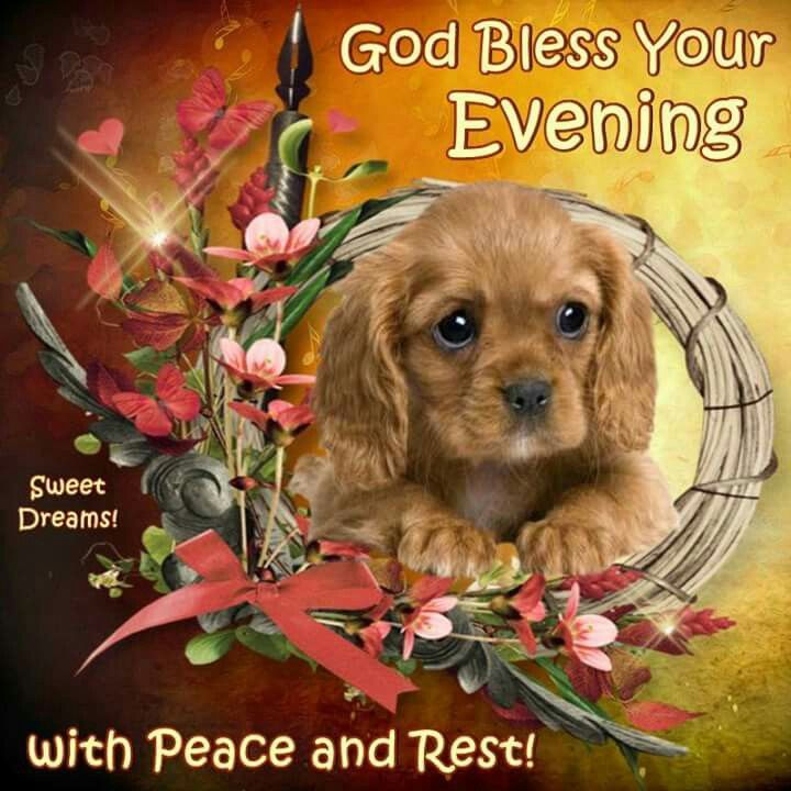 God Bless You Evening With Peace And Rest! Pictures, Photos, and Images ...