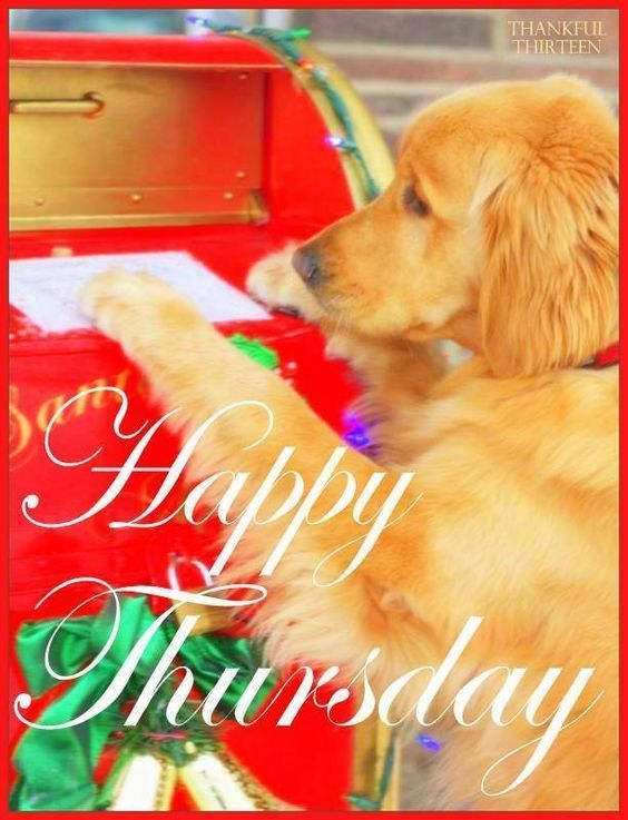 Happy Thursday Christmas Image Pictures, Photos, and Images for ...