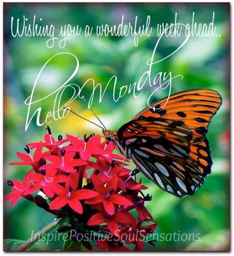 Hello Monday Pictures, Photos, and Images for Facebook, Tumblr ...