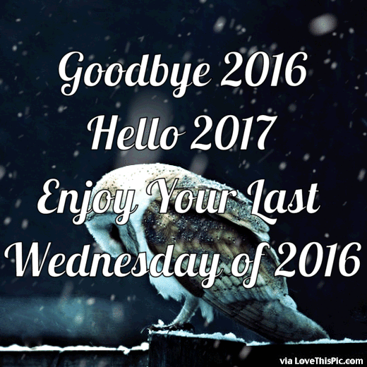 Enjoy The Last Wednesday Of 2016 Pictures, Photos, and Images for ...