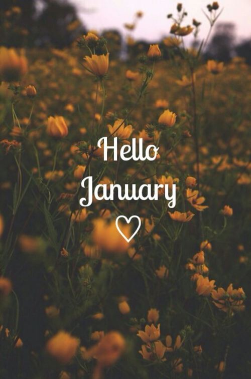 Hello January Pictures, Photos, and Images for Facebook, Tumblr ...